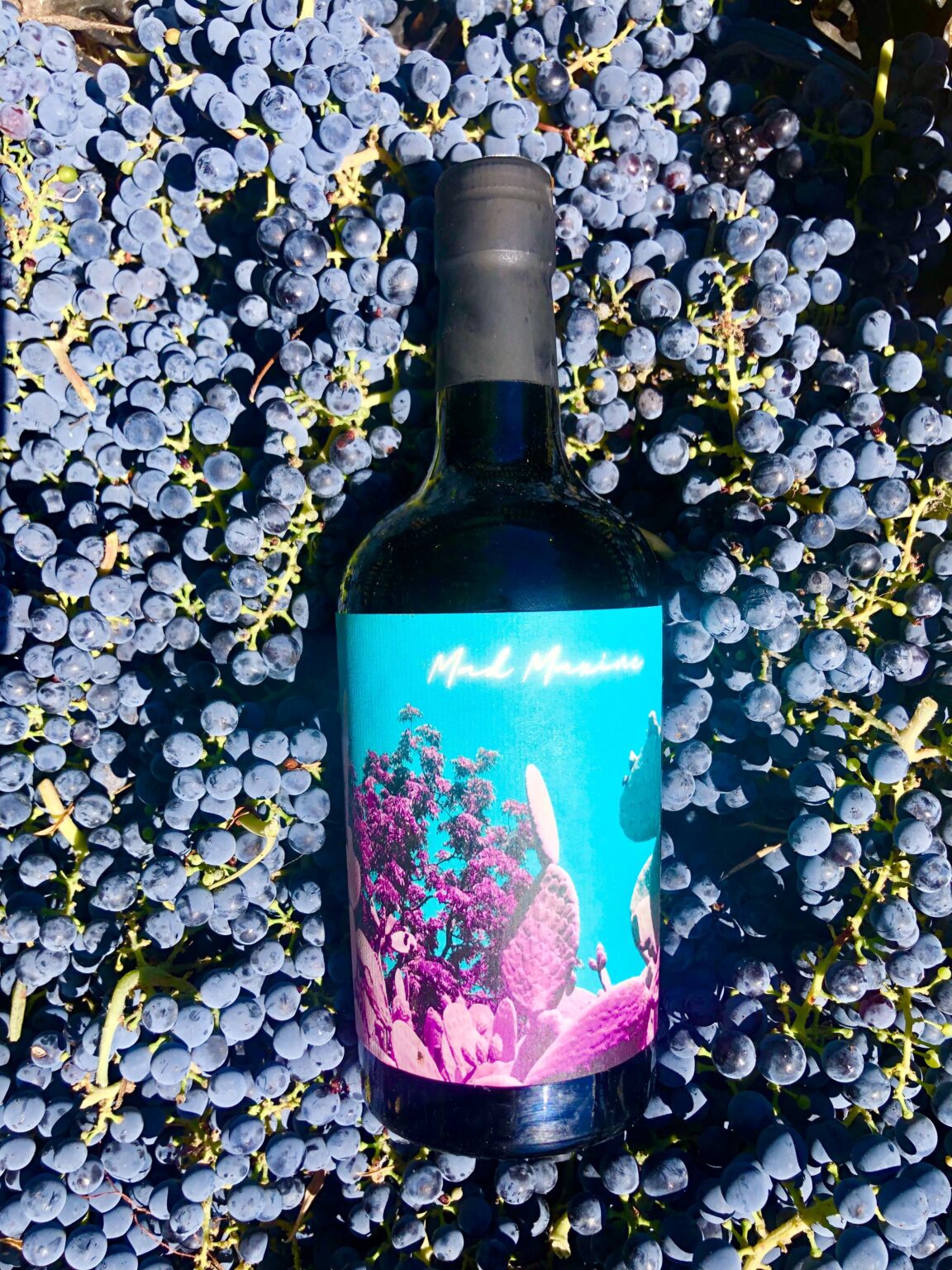 Mad Maxine 2021 - Mad Marvlus Wines and Cider